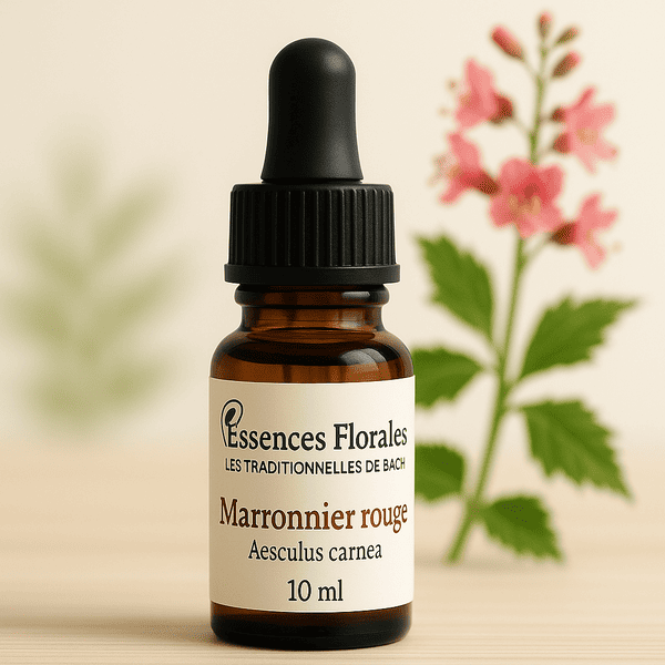 FLEUR DE BACH MARRONNIER ROUGE (RED CHESTNUT N° 25) – Complements.ma